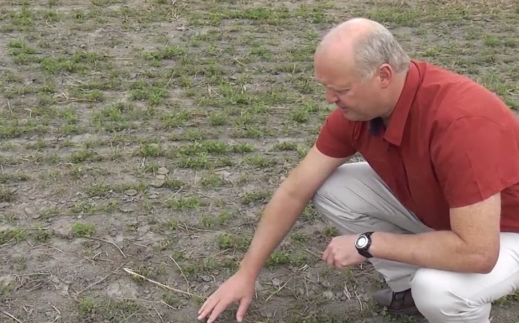 Effective irrigation of lucerne stands – Dryland Pastures