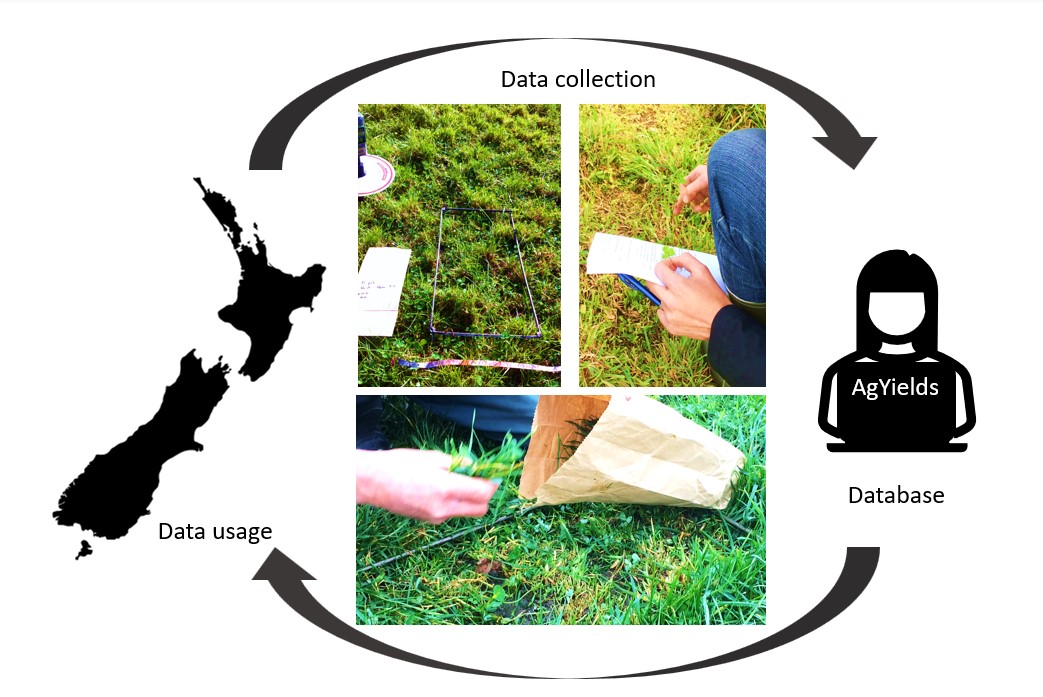 AgYields National database – Dryland Pastures